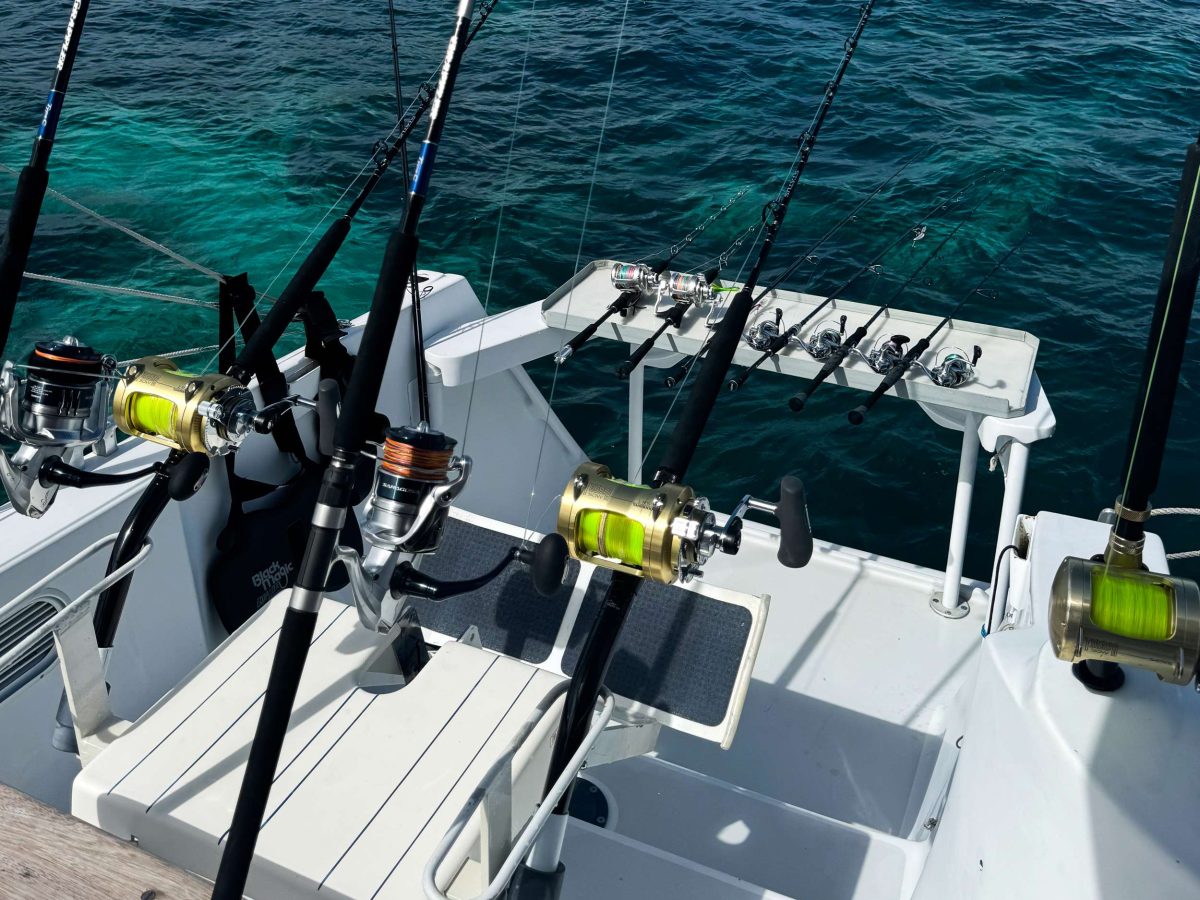 Fishing in the British Virgin Islands: The Complete Charter Guide