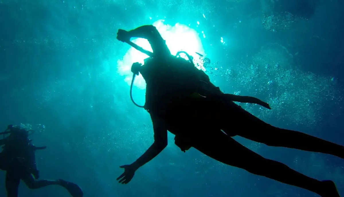 Scuba Diving BVI | Complete Yacht Charter Guide